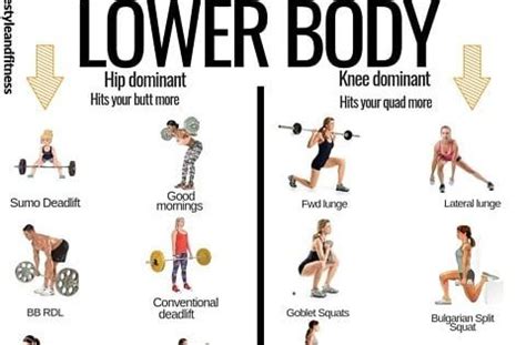 The Difference Between Muscular Strength And Muscular Endurance