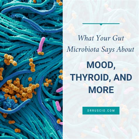 What Your Gut Microbiota Says About Mood Thyroid And More Dr