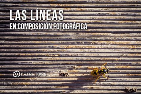Las líneas en composición fotográfica Fotolarios