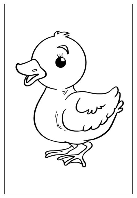 Desenhos De Pato Para Colorir E Pintar Tudo Para Colorir