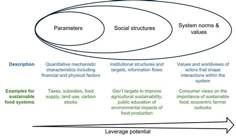 Can Systems Thinking Help Identify Leverage Points For Scaling Up