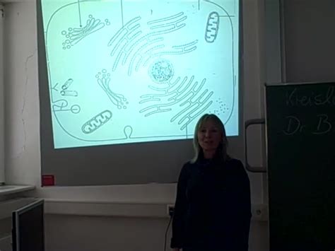 Repetitorium Aufbau Der Zelle Doccheck