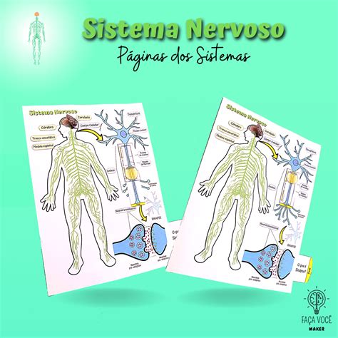 Páginas dos Sistemas Nervoso Faça Você Maker
