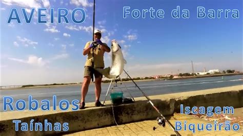 Pesca Ao Robalo Aveiro Forte Da Barra Youtube
