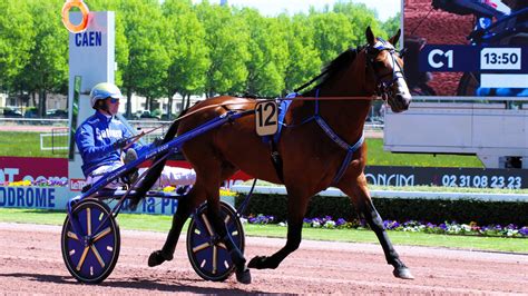 Quinté du vendredi 9 août 2024 Pronostic Base solide Tocard