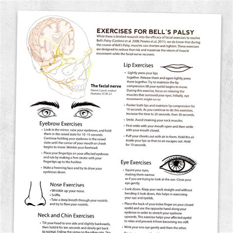 Bell S Palsy Exercises Printable