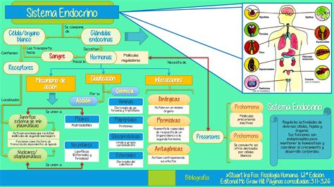 Fisiología básica 2015 Daniel Valdes Angulo grupo 10 sistema endocrino