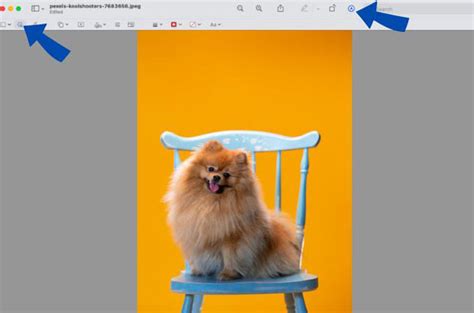 Excellent Ways To Remove Background From Image Mac