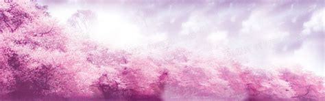 梦幻唯美粉色樱花背景背景图片下载 1920x600像素JPG格式 编号vrgfd8l61 图精灵