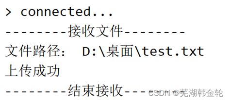 hnu计网实验二 网络基础编程实验 java python3 python3 实现网络基础编程实验 csdn博客