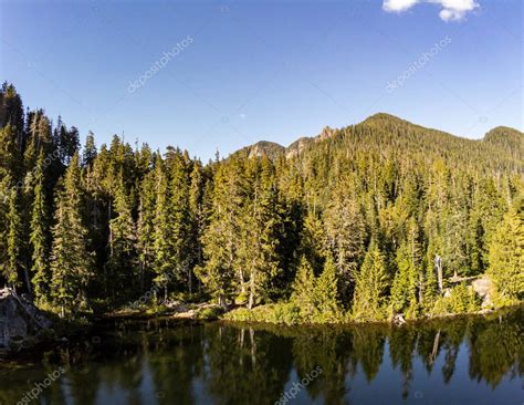 Lago Kelcema Aislado Y Las Monta As Y Rboles Circundantes Que Se