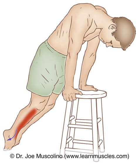 Estiramientos De Tibiales Tibial Anterior Y Tibial Posterior Youtube