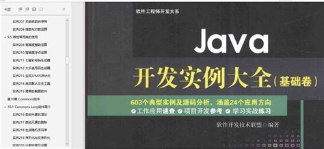 java开发实例大全 pdf ：603个典型事例及源码分析和24个应用方向 java开发实例大全pdf百度云 csdn博客