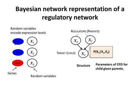ppt bayesian networks for modeling gene expression data powerpoint presentation id 2485901