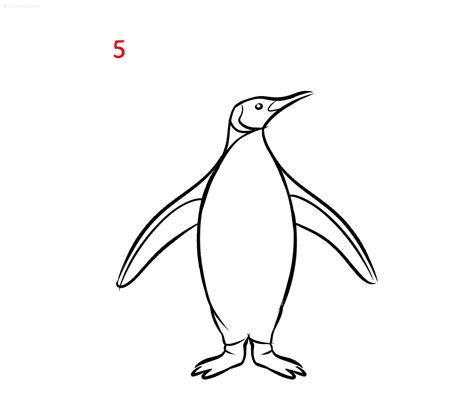 Penguin Drawing How To Draw A Penguin