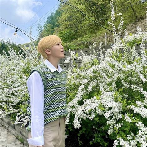Pin by ꕤ on 𝐋𝐎𝐕𝐄 𝐋𝐄𝐓𝐓𝐄 𝐑 Seventeen Seungkwan Green aesthetic