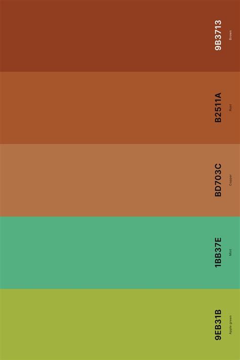 25 Best Terracotta Color Palettes With Names And Hex Codes In 2024