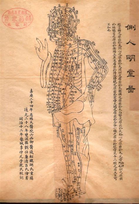 Qué es la Medicina Tradicional China Acupuntura Jerez