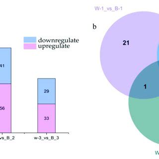 Identification Of Differentially Expressed LncRNAs Under Blue White