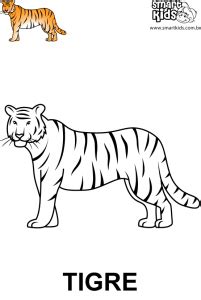 Tigre Para Colorir E Imprimir Muito F Cil Colorir E Pintar