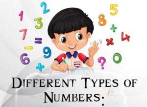 What Are The Different Types Of Numbers Knowledge Glow