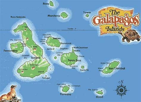 The Galapagos Islands A World Like No Other Galapagos Islands