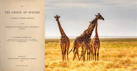 L Origine Della Specie Il 24 Novembre 1859 La Prima Pubblicazione Del