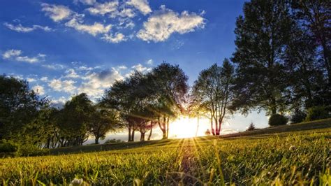 Papel de parede luz solar Árvores panorama Pôr do sol natureza