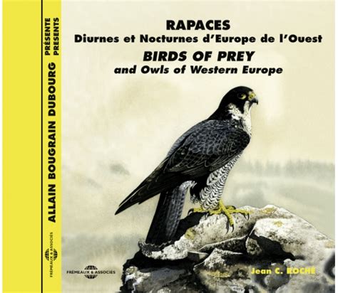 RAPACES DIURNES ET NOCTURNES D EUROPE DE L OUEST