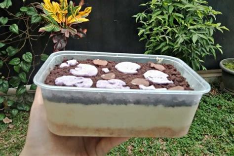 Resep Oreo Cheesecake Dessert Box