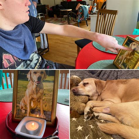 Min Hundfavvo L Mnade Oss Jag Simon Blogg Se