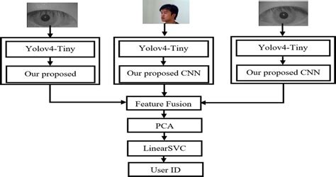 block diagram of the proposed face and both irises multimodal biometric download scientific