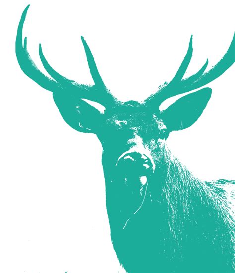 Reindeer Illustration Clip Art Antler Silhouette Reindeer Png