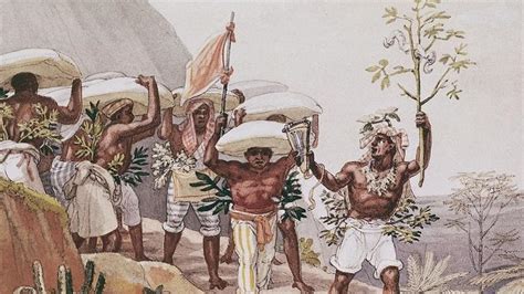 11 curiosidades sobre a história do Café no Brasil Listas BOL
