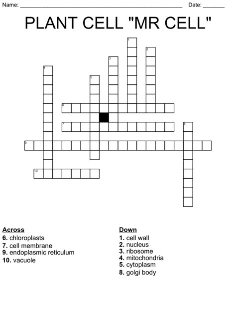 PLANT CELL MR CELL Crossword WordMint