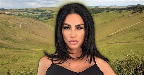 Katie Price Took Naked Car Journey To Have Sex In National Trust Spot Metro News