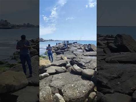 Domingo De Pesca En Mar Del Plata Youtube