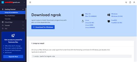How To Access The Website Using Ngrok On Localhost On Ubuntu