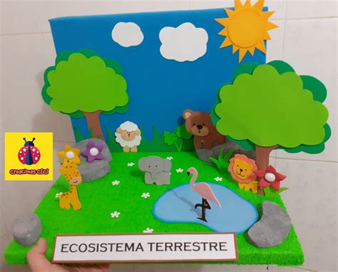 Los Alumnos De De Primaria Realizan Maquetas De Ecosistemas Ceip