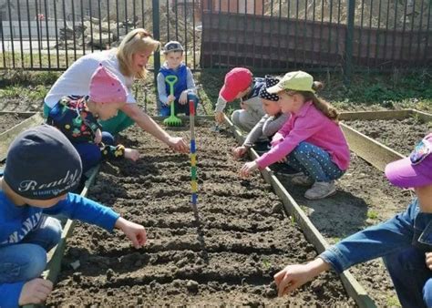 Proyectos De Huerto Escolar Importancia Y Ejemplos Proyectos Educativos