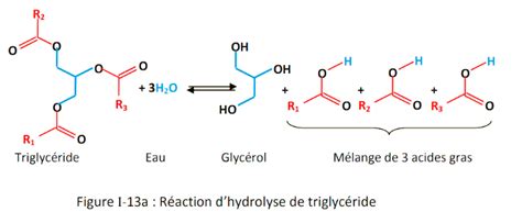 Memoire Online Synthèse du biocarburant par transesterification