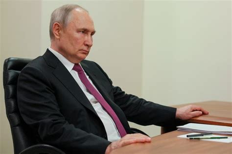 Russia S Special Forces Whales And Dolphins Trained To Spy And Kill