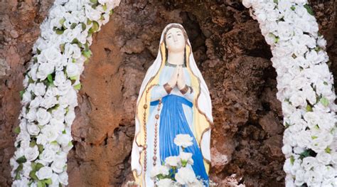 ABRACE SUA CRUZ E Os Milagres De Lourdes