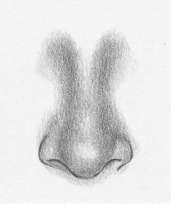 How To Draw A Realistic Human Nose