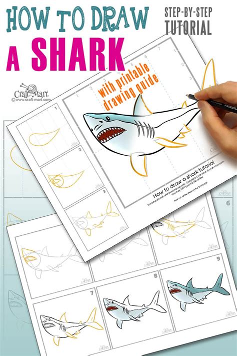How To Draw A Shark In Easy Steps In Drawings How To Draw