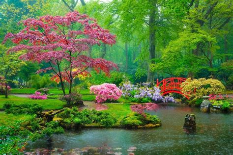 Quelle Plantes Pour Jardin Japonais