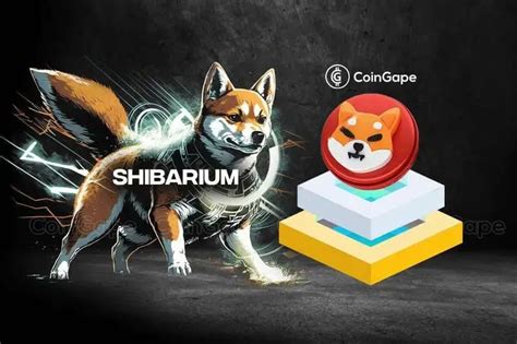Shibarium Now Operating In Private Mode Here S What S New Guest Post