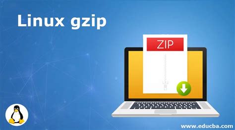 How To Compress File In Linux Gzip Templates Sample Printables