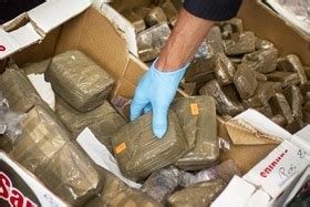 Major Drug Trafficking Network Busted In Zurich SWI Swissinfo Ch