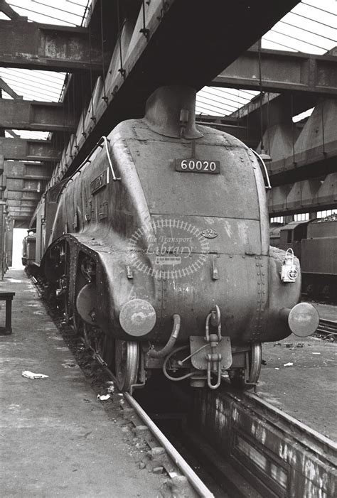The Transport Library BR British Railways Steam Locomotive 60020